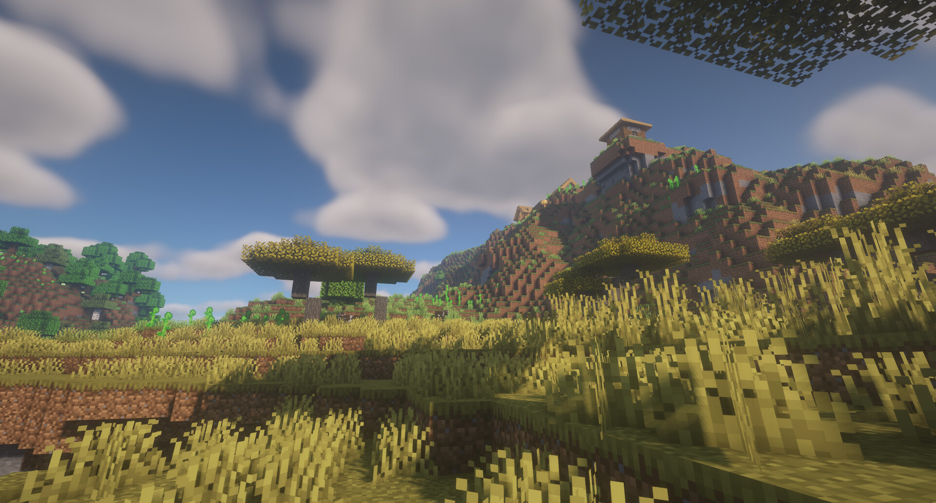 Elevation SMP Minecraft Server