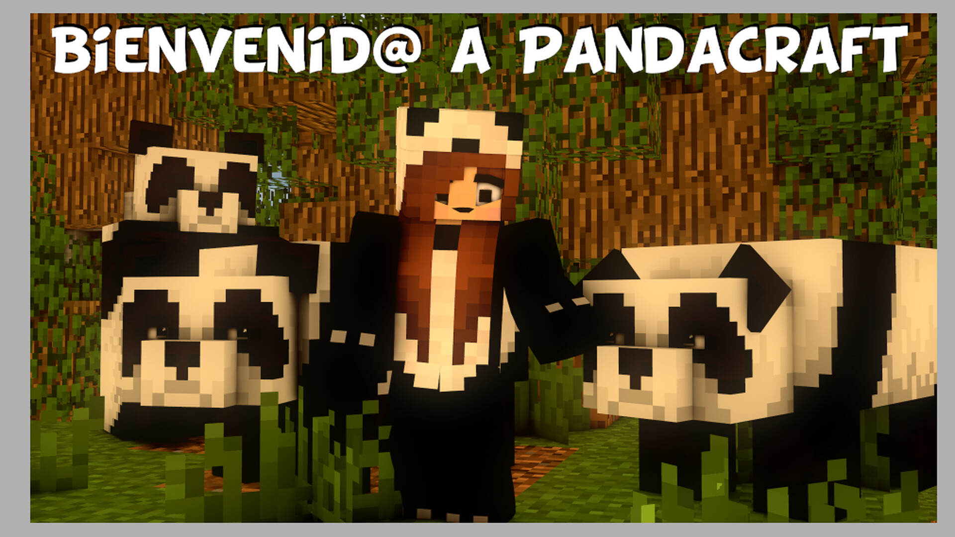 PandaCraft Minecraft Server