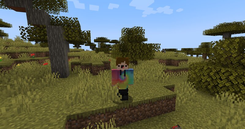 CubeCraft SMP Minecraft Server