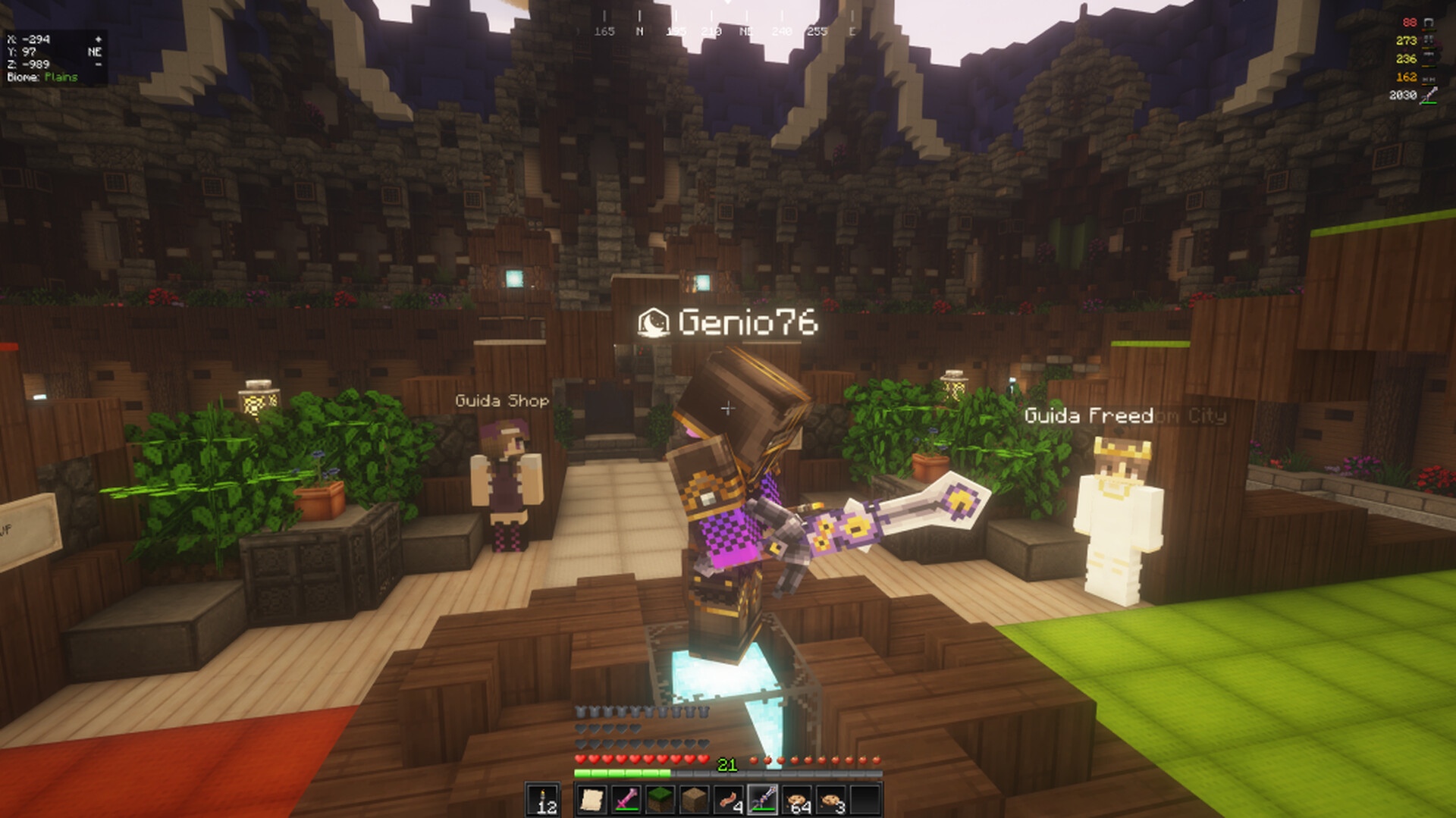 Freedom Minecraft Server