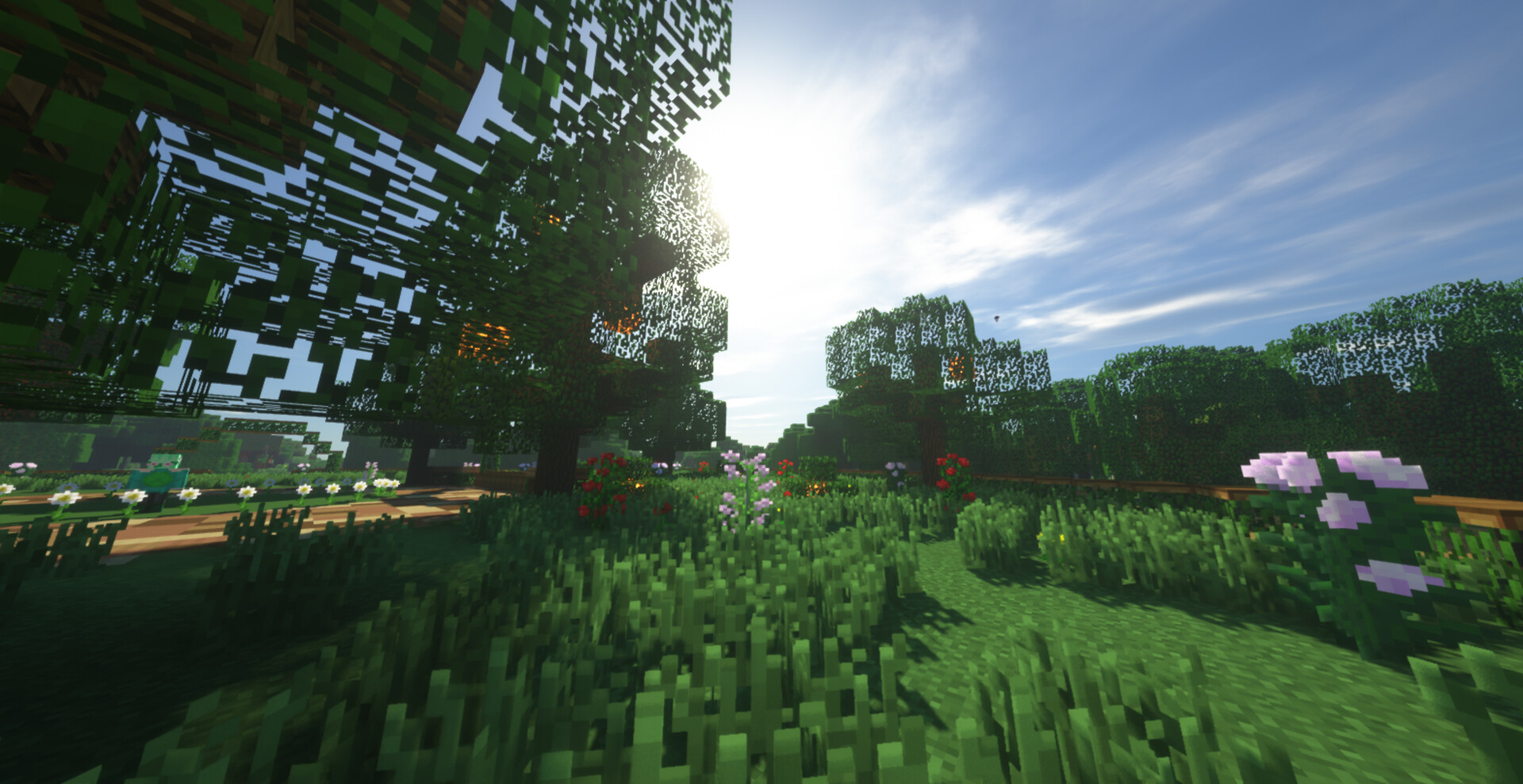 Pixelmon Constellations Minecraft Server