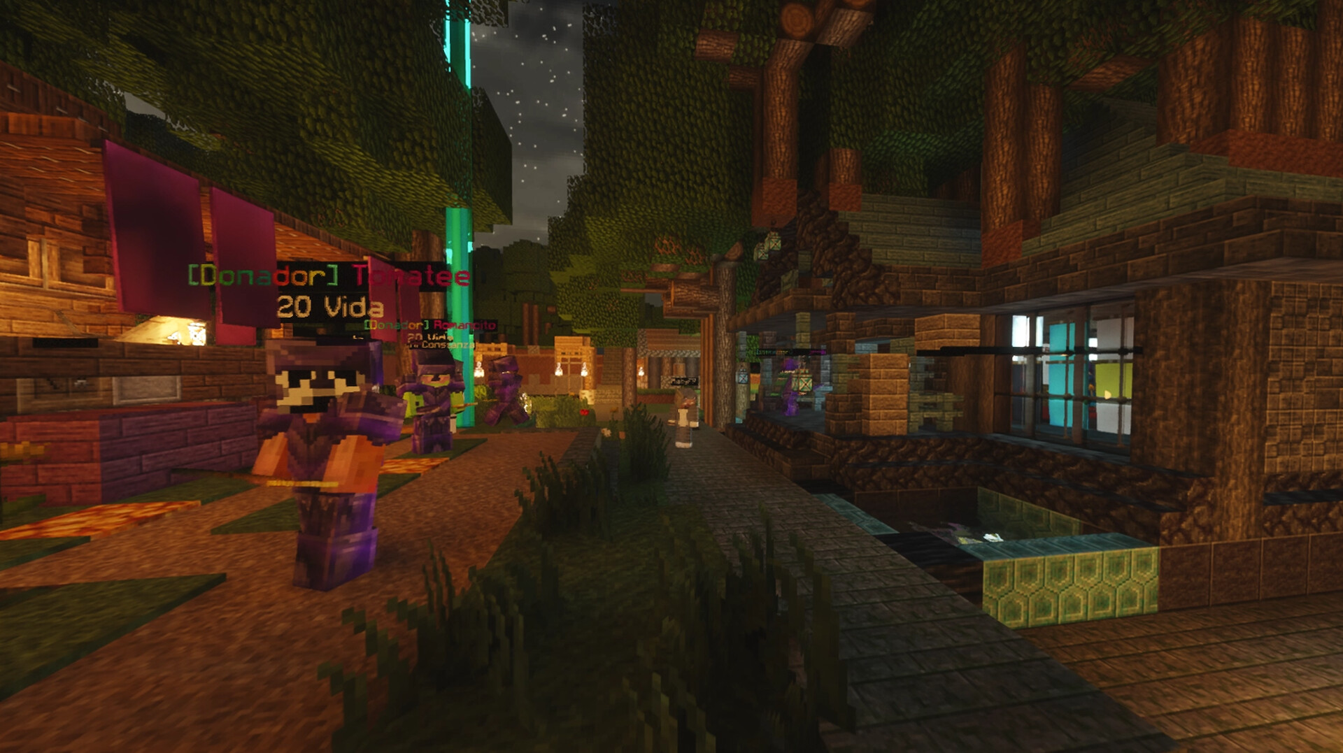 Minecraft Argentina Minecraft Server