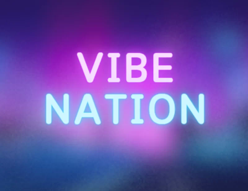 Vibe Nation MC Minecraft Server