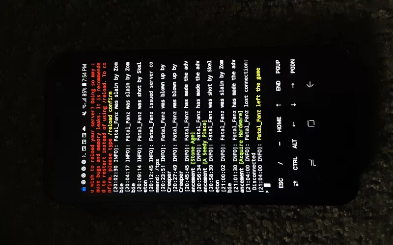 Phone Server Minecraft Server