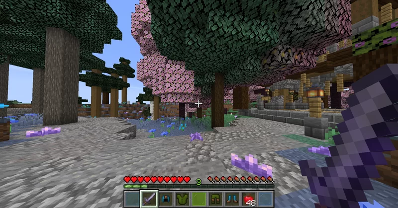 walmart version of a server Minecraft Server