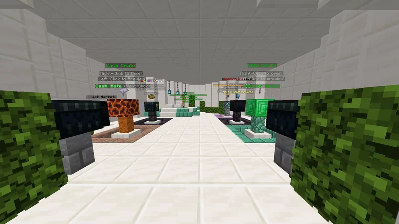 Rivals SMP Minecraft Server