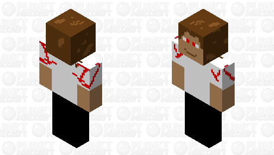 Backwards skin Minecraft Skin