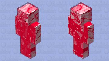 Vanquisher Minecraft Skins | Planet Minecraft Community