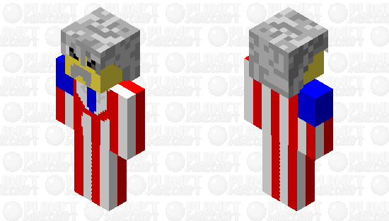 Ty flag skin Minecraft Skin