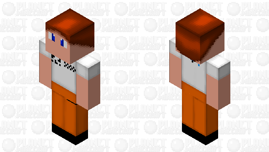 shell skin Minecraft Skin