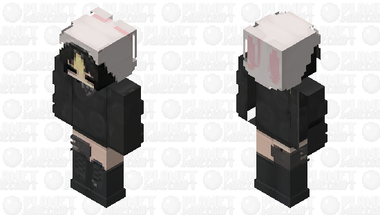 pp Minecraft Skin
