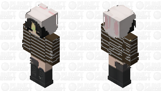 pp Minecraft Skin