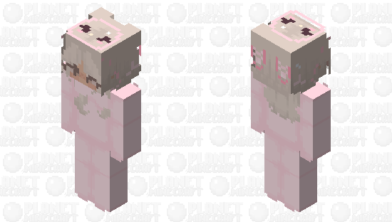 pp Minecraft Skin