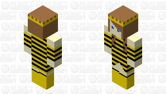 Queen Bee (That I accidently made backwards) Minecraft Skin