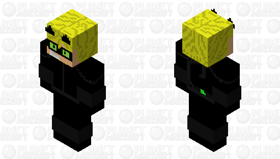 CAT NOIR Minecraft Skin