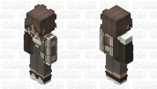 Check Minecraft Skin
