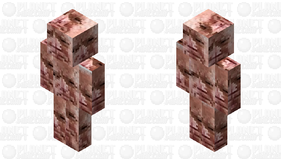 Joe Biden Minecraft Skin