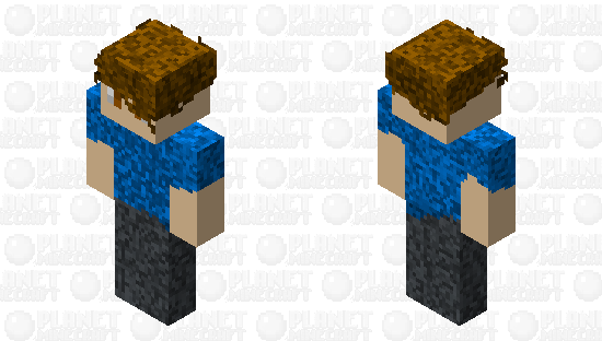 Guy brown hair Minecraft Skin