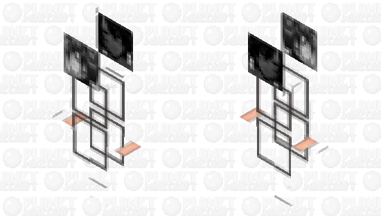 New Pfp Minecraft Skin