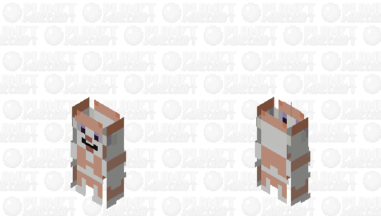 Bidy bab Minecraft Skin