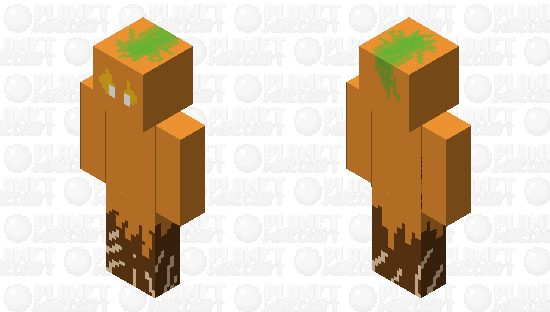 Carrot Minecraft Skin