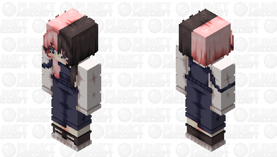 Half and half Minecraft Skin
