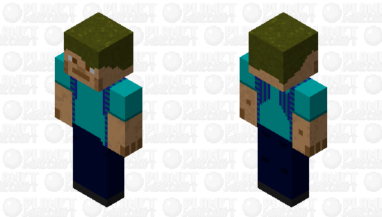 steve details Minecraft Skin