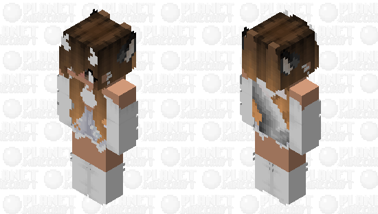 Edit 2 Minecraft Skin