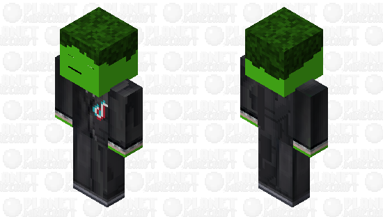 TikTok Timazzz2953 Minecraft Skin