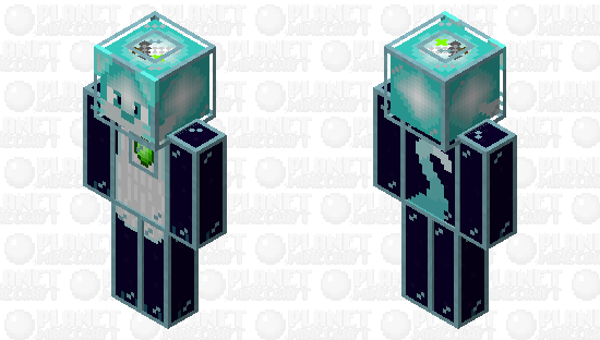 BEACON Cat Minecraft Skin