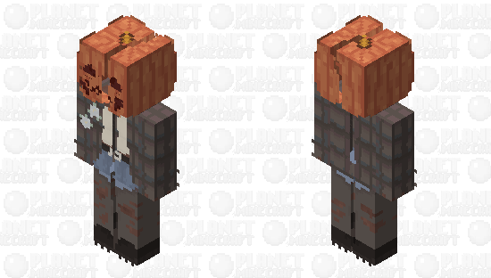 Split in Half Minecraft Skin