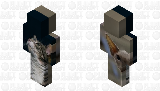cat Minecraft Skin