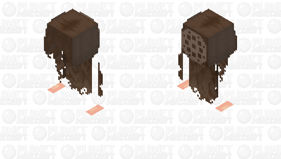 Hair Minecraft Skin