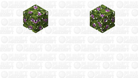 Azalea Flower Head Minecraft Skin