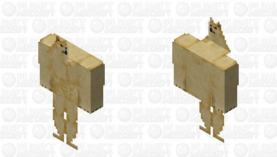 doge buff Minecraft Skin