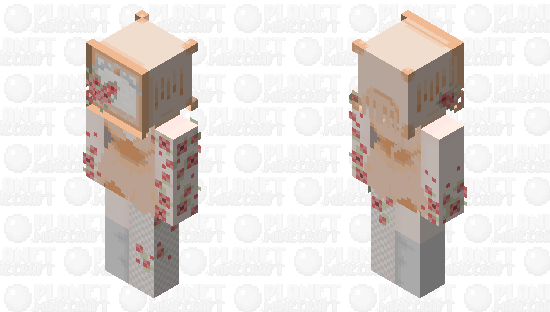 kandi tv! 🌺 Minecraft Skin