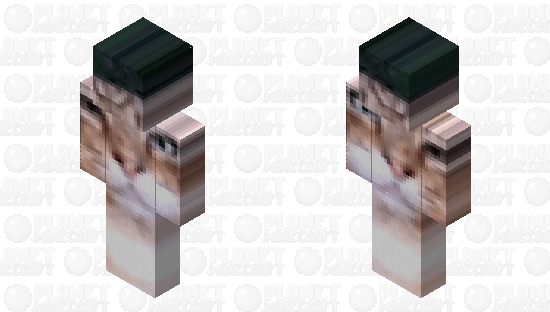 Sock cat full 128x Minecraft Skin