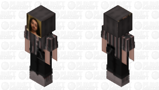 Skinseed pfp Minecraft Skin