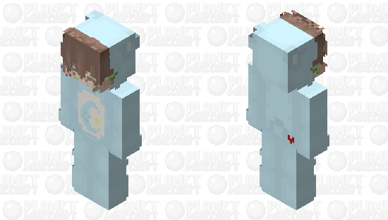 Nighttime carebear onesie bee Minecraft Skin