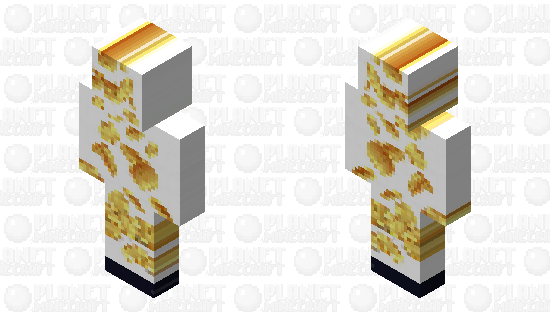 Coins Minecraft Skin