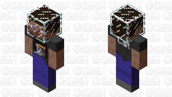 Cat-Loving Glass-Headed Steve Minecraft Skin