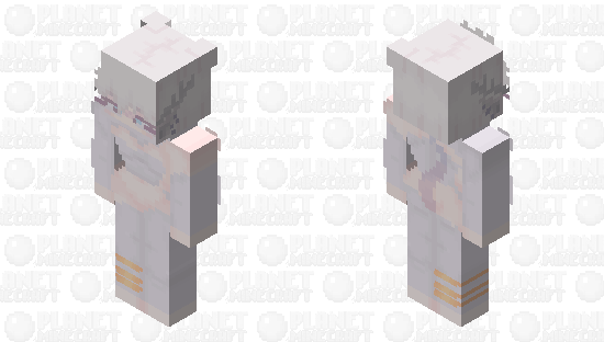 Cakes Minecraft Skin