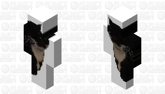 Maxwell the cat Minecraft Skin