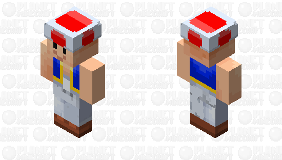 Toad (super mario mash up) Minecraft Skin