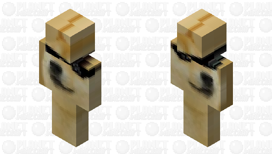 cool doge (DRIP) Minecraft Skin