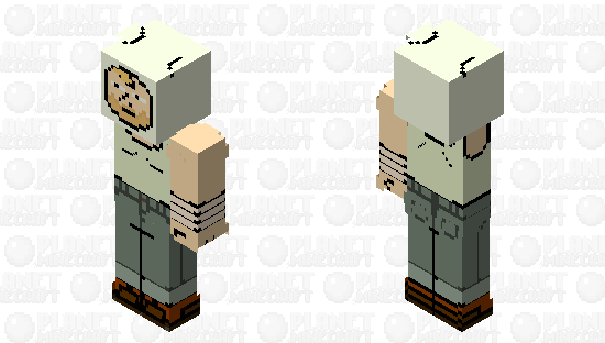 Farmworld Finn Fionna and cake (No arm-color accuracy) Minecraft Skin