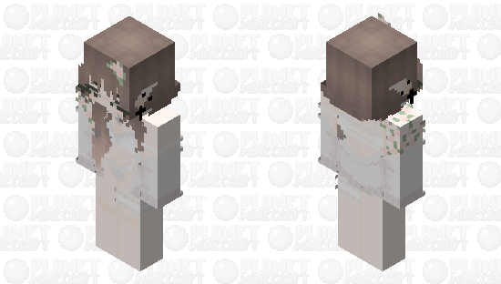 H Minecraft Skin