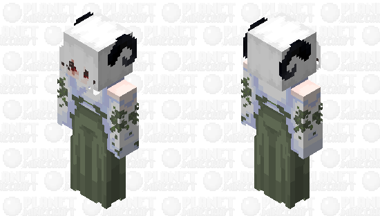 Skin for Eli Minecraft Skin