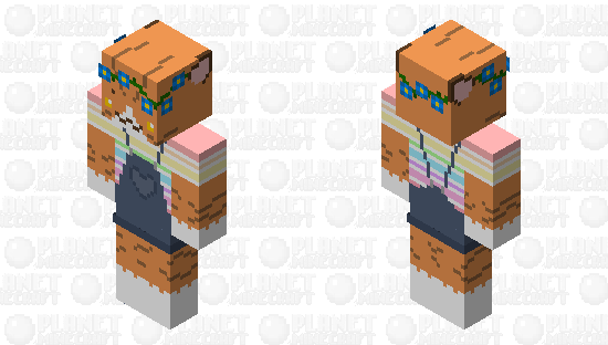 Derpy cat Minecraft Skin