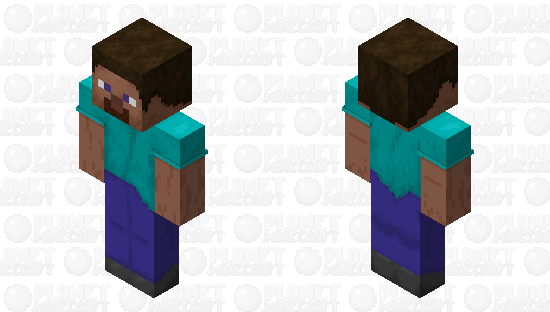 faithful steve Minecraft Skin